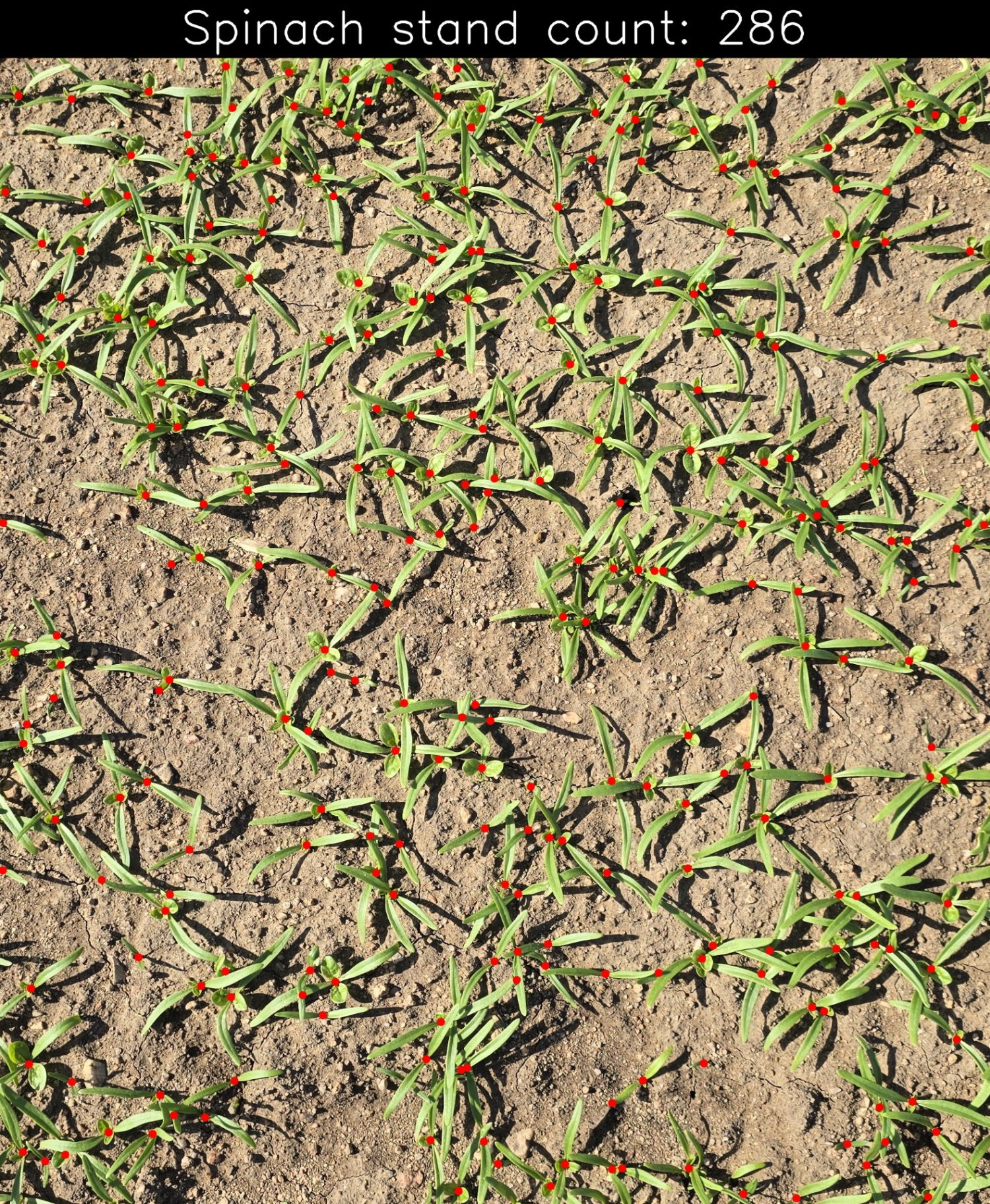 Glean - AI-Powered Agricultural Field Data Collection